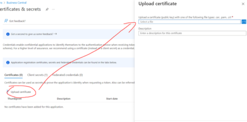 Portal & Dataverse OAuth: Application Permissions Setup